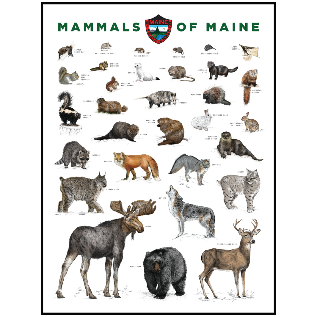 Maine Department of Inland Fisheries and Wildlife Online Store – MDIFW