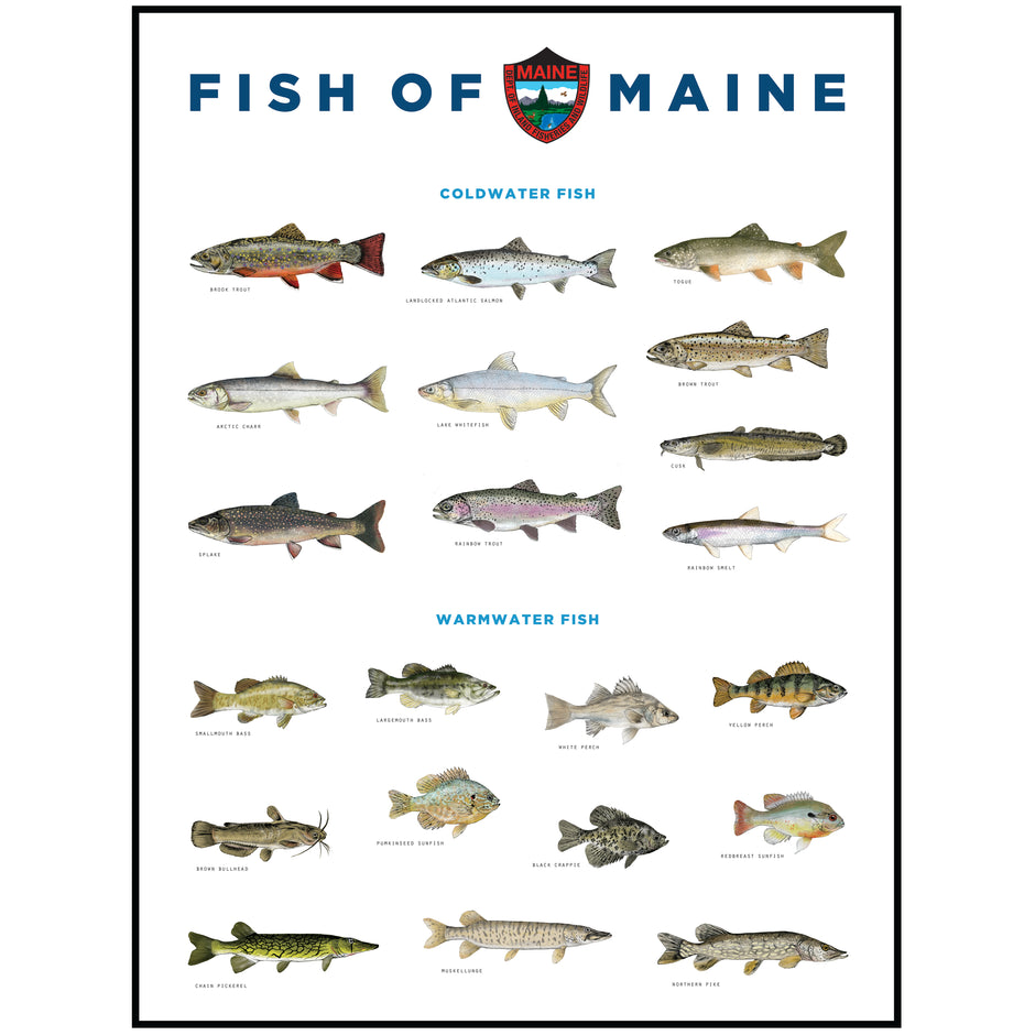 Maine Department of Inland Fisheries and Wildlife Online Store – MDIFW