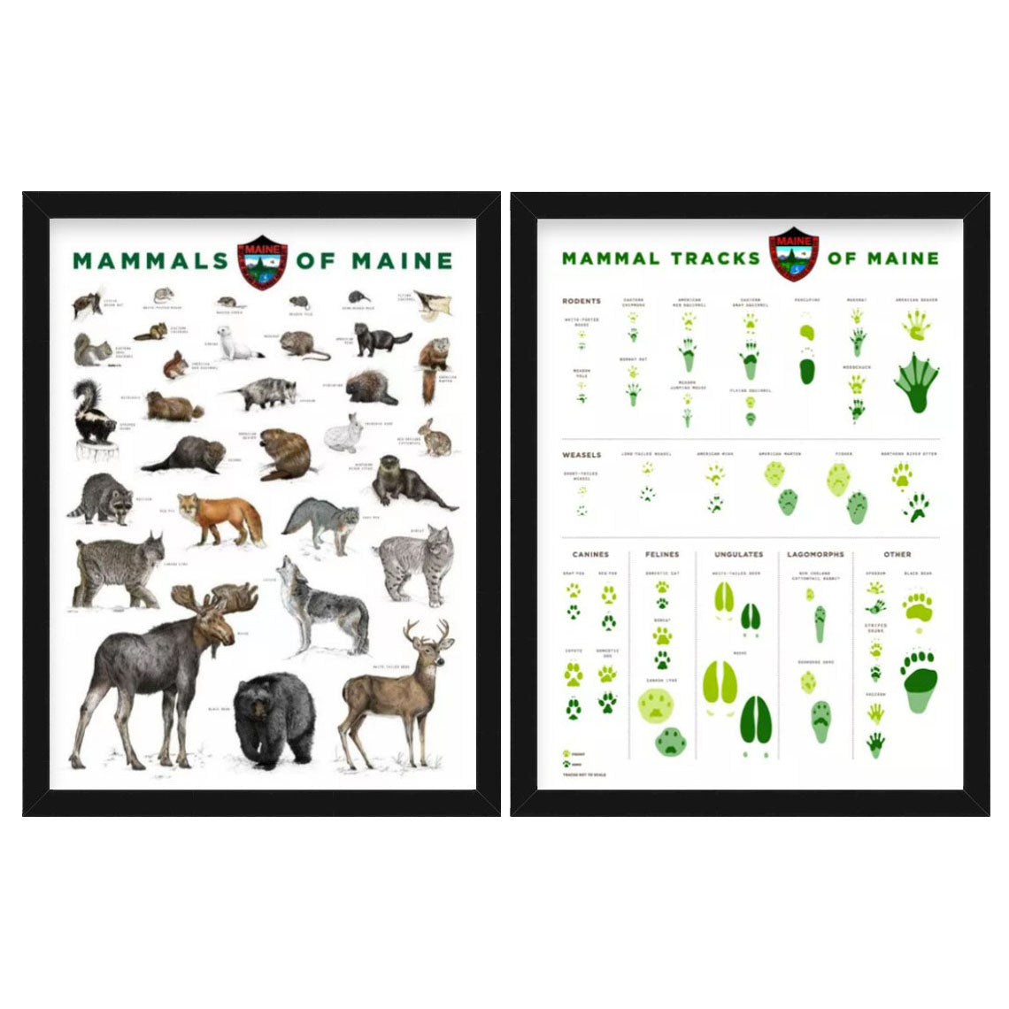 Prints + Artwork – MDIFW