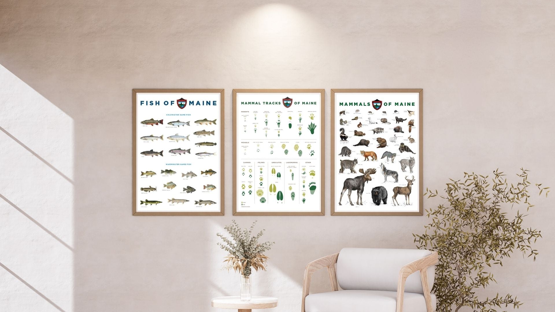 Maine Department of Inland Fisheries and Wildlife Online Store – MDIFW